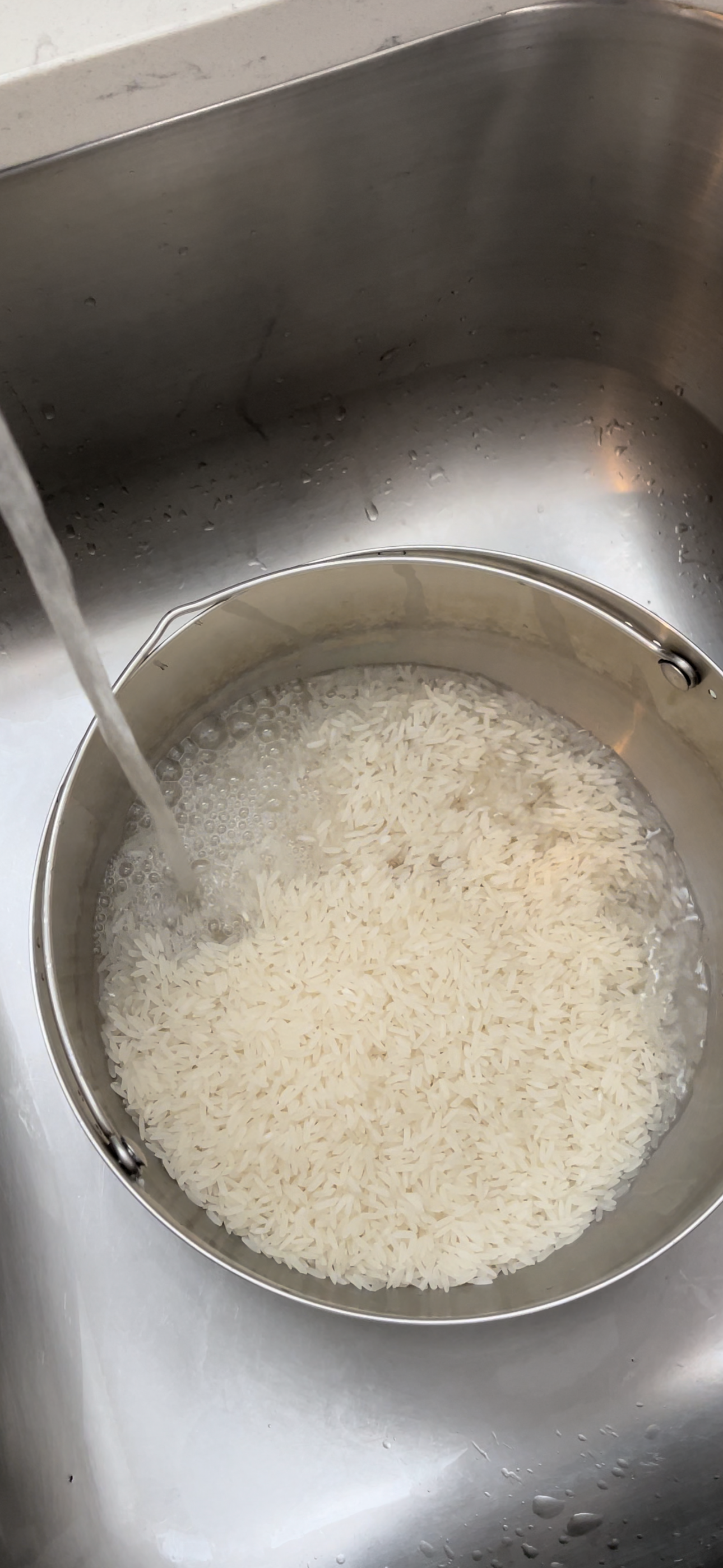 The Magic of Rice Water for Plants – Planted By Ycee